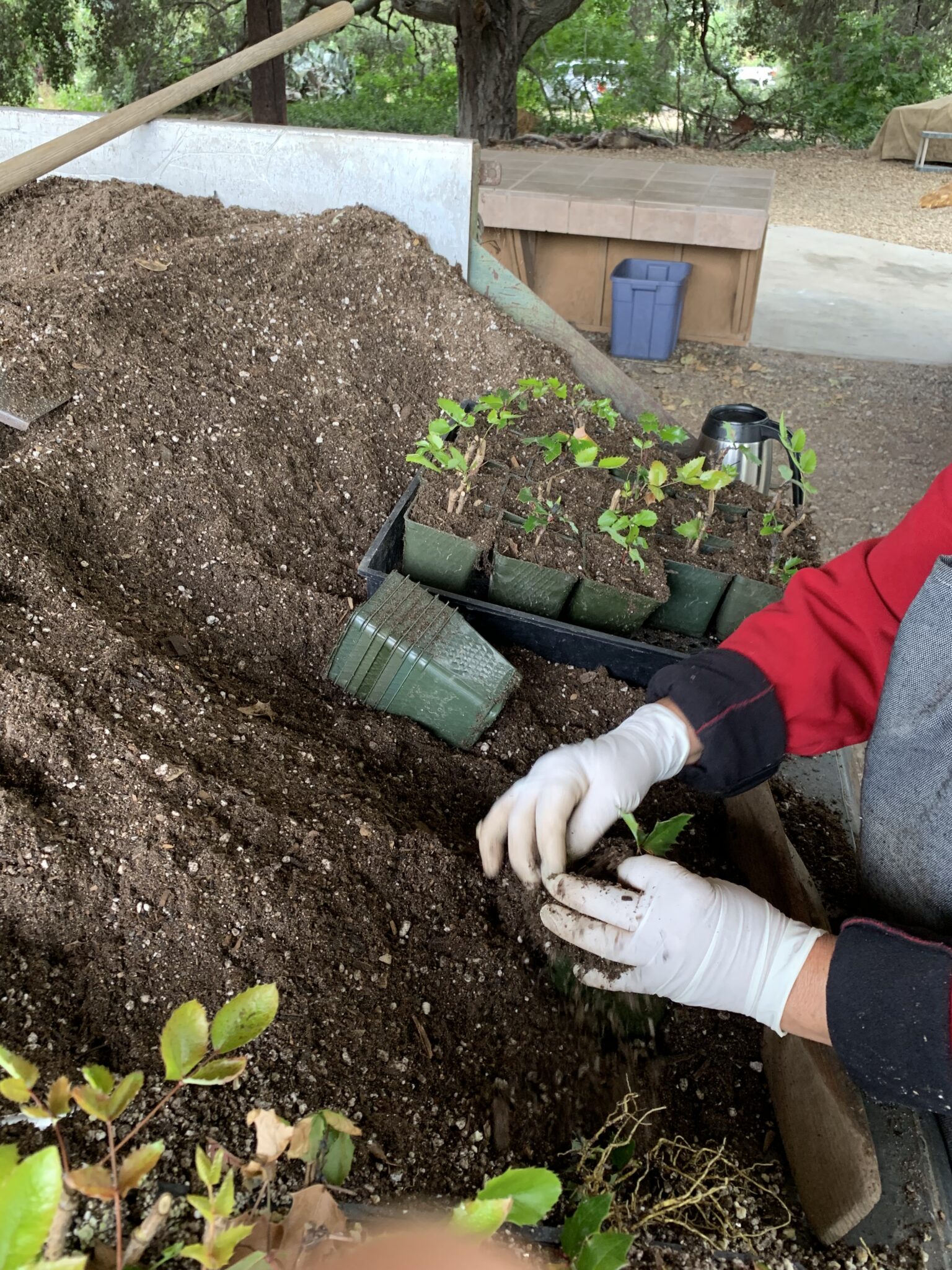 Vision – California Native Horticultural Foundation